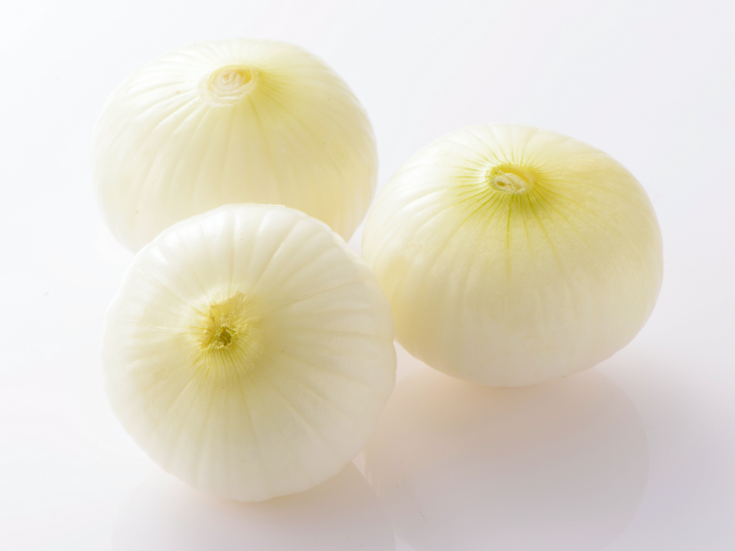 タマネギ | SAGAPIN