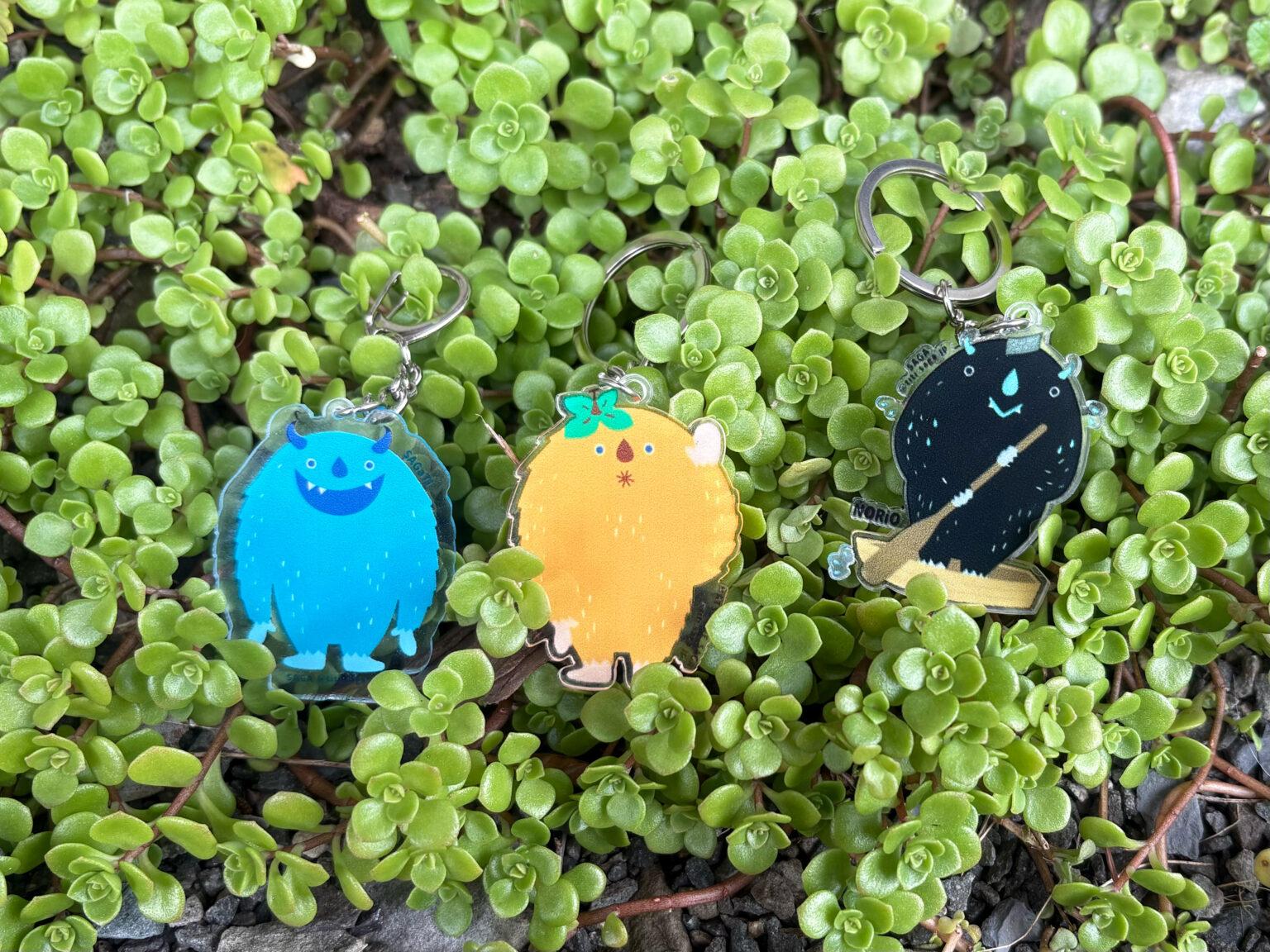 山に親しむ、山を感じる 「佐賀の山 POP UP」をSAGAMADOにて開催！ | SAGAPIN